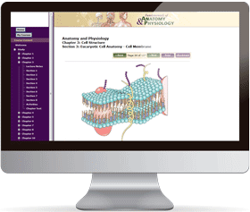 Anatomy Online Course